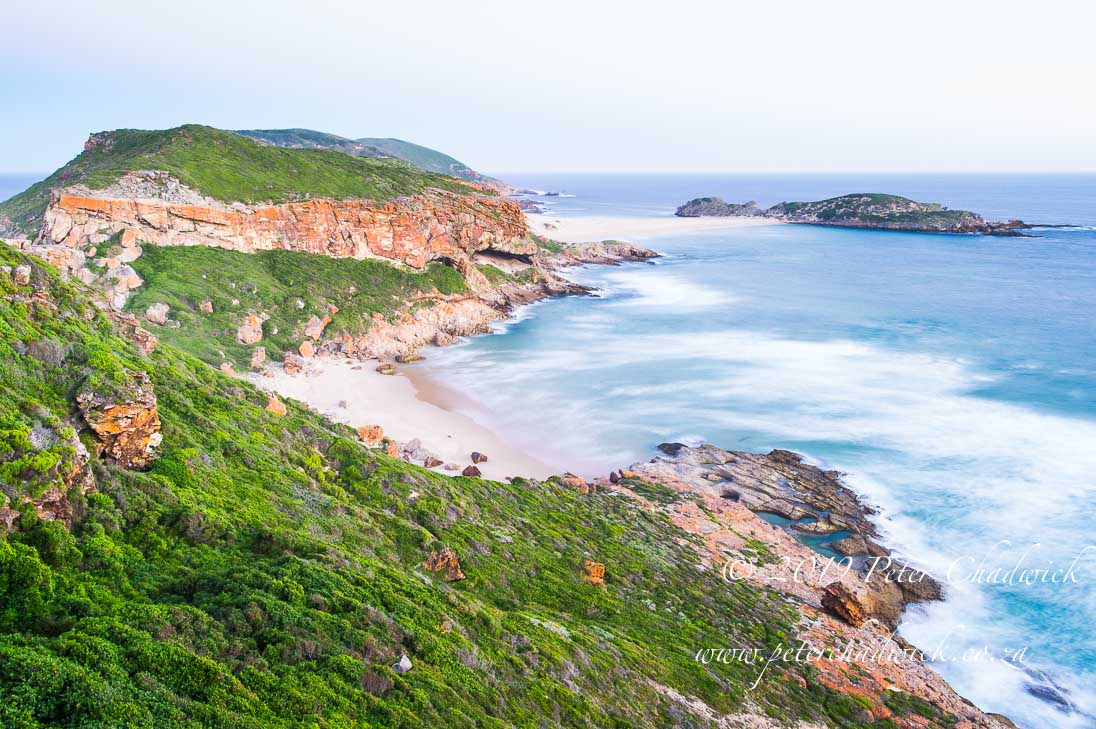 Robberg Marine Protected Area - Peter Chadwick | African Conservation ...